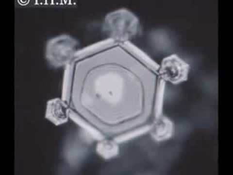 Human consciousness and the structure of water | Rosebank Killarney Gazette