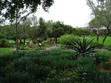 City parks, nature reserves and the Joburg Zoo remain closed in Level 3 ...