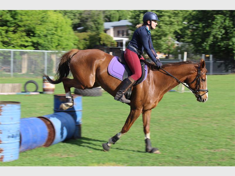 Ranger Stables steadily grows | Rosebank Killarney Gazette