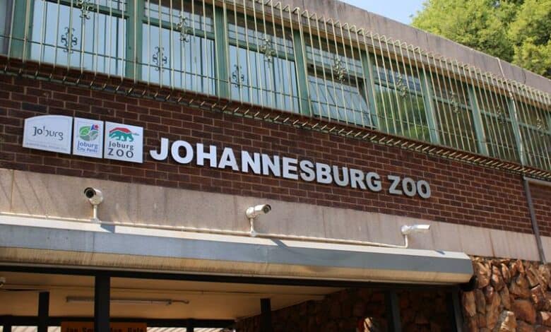 Joburg Zoo’s 2024 highlights: Celebrating 120 years of wildlife wonder ...