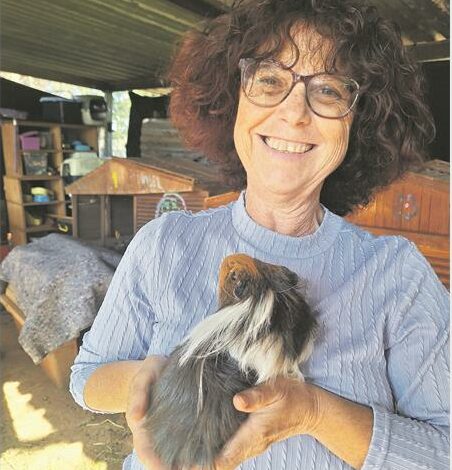 The Bunny Hop Haven is Creating Plans for 2026 animal welfare and ...