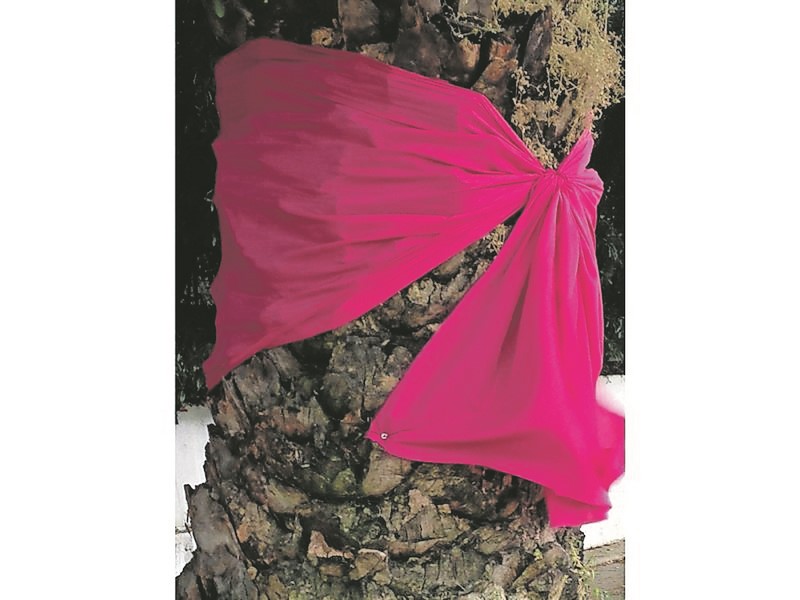 Trees are going pink for CANSA | Witbank News
