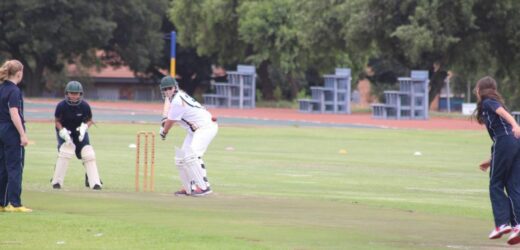 Primary school girl's cricket draws to a close for now | Witbank News