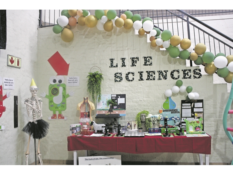 Curro annual open night in full swing | Witbank News