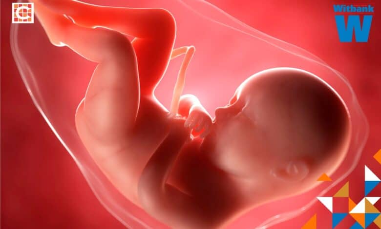 Witbank SAPS investigates concealment of birth after foetus found in ...