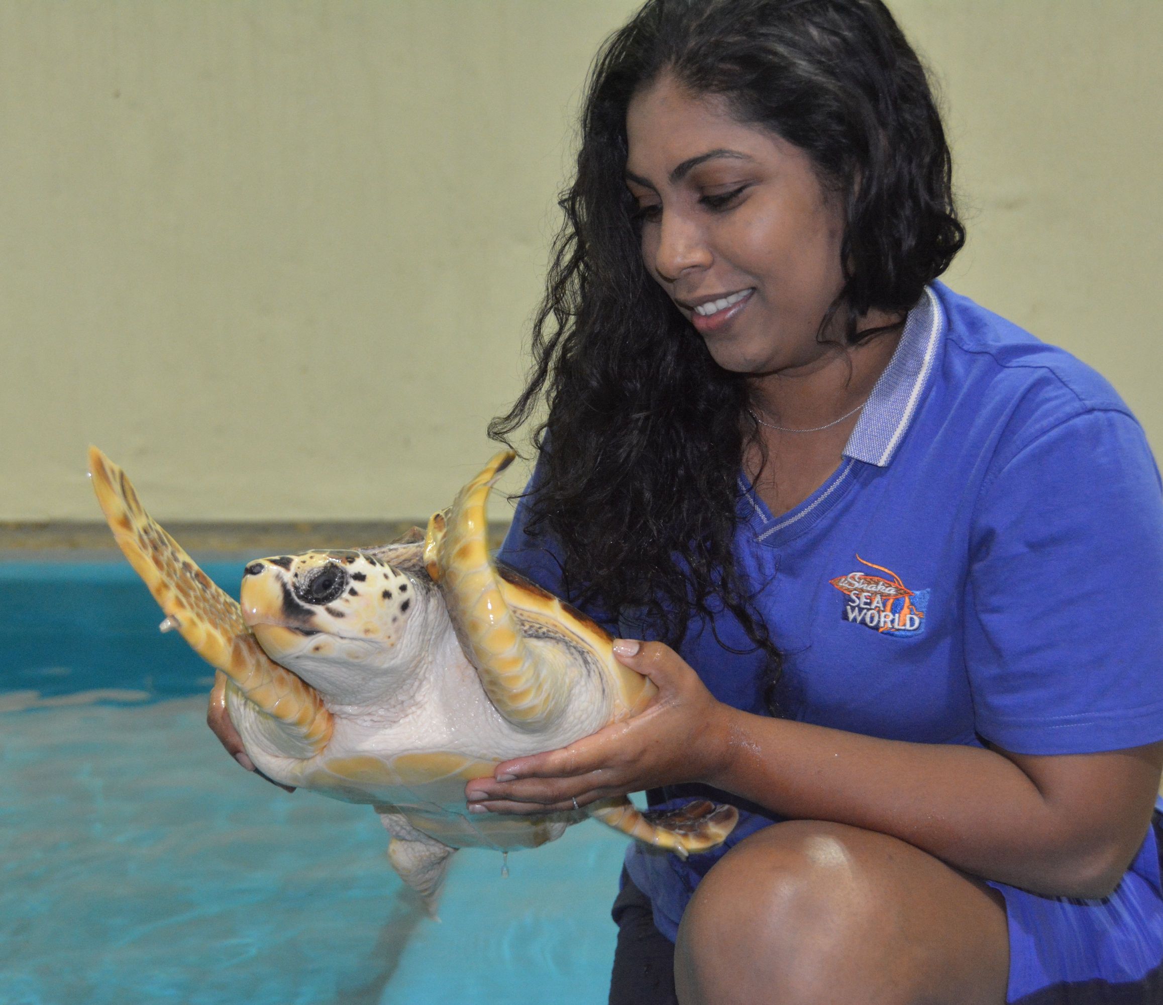 Help protect South Africa’s precious turtles | Rising Sun Newspapers