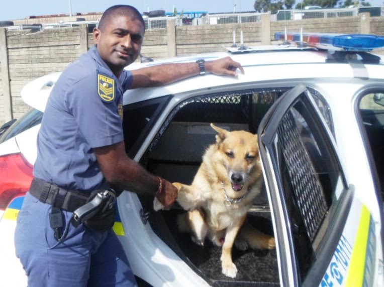 SAPS urges residents to take care of their pets | Rising Sun Newspapers