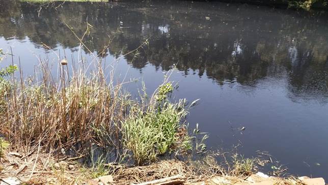 ‘Black’ toxins pollute Isipingo Beach | Rising Sun Newspapers