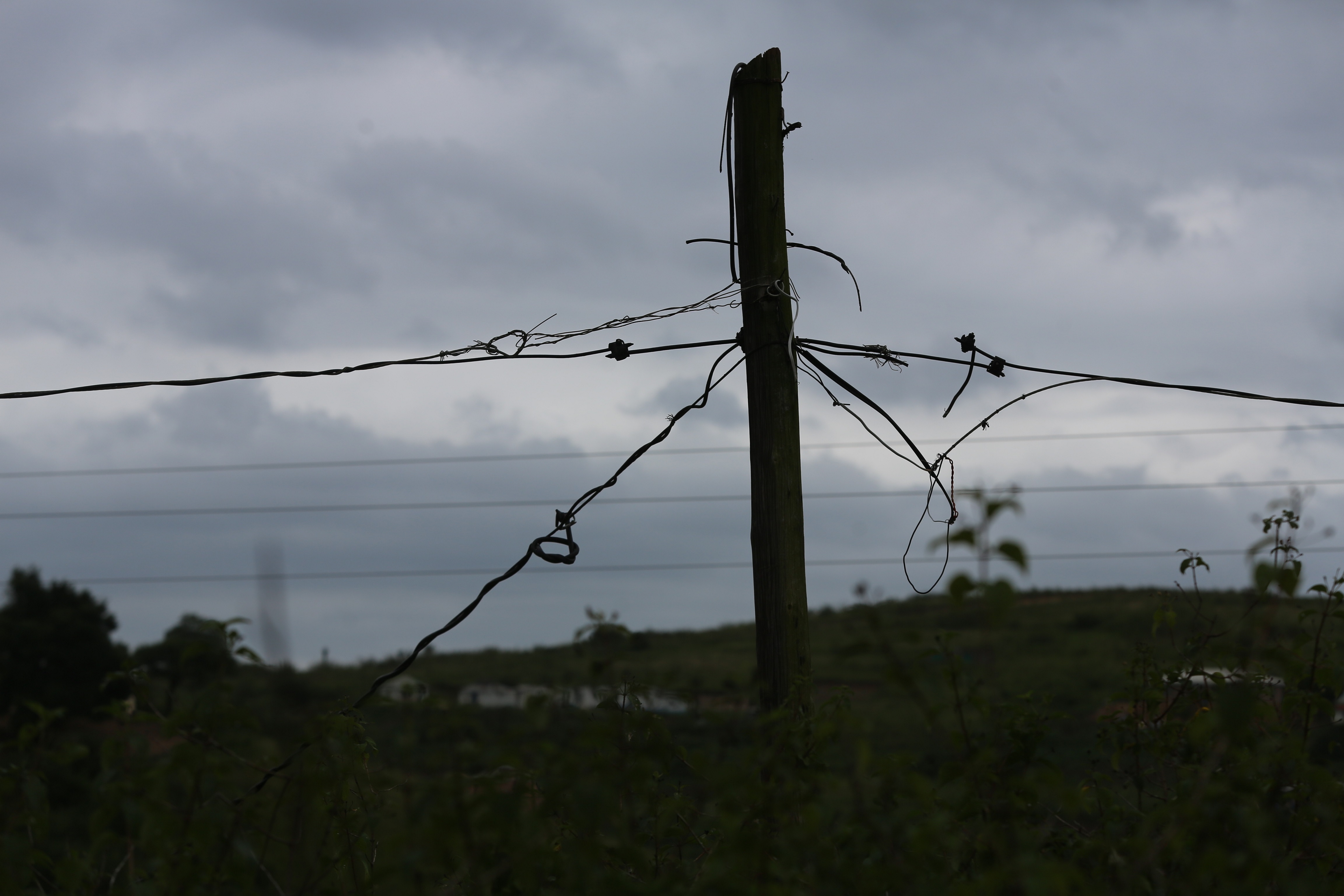 Eskom conducts electricity safety awareness to curb loss of lives from ...