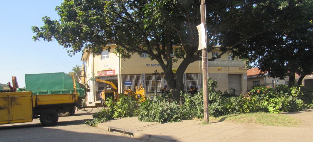 SDB ABM campaign rejuvenates Clairwood | Rising Sun Newspapers