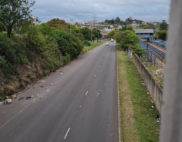 Highway Sheila continues to ‘haunt’ motorists | Rising Sun Newspapers