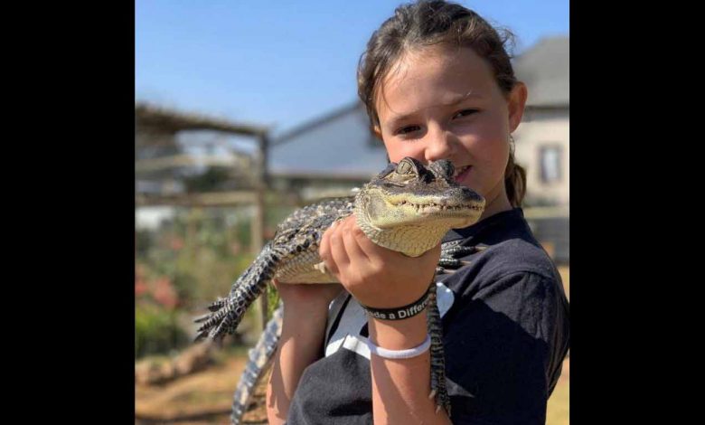 Let the kids reconnect with nature this summer at Dingo’s Wildlife Club ...