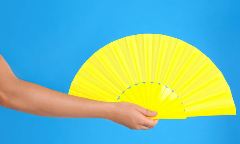 Help your child make a colourful paper plate fan | Rising Sun Newspapers