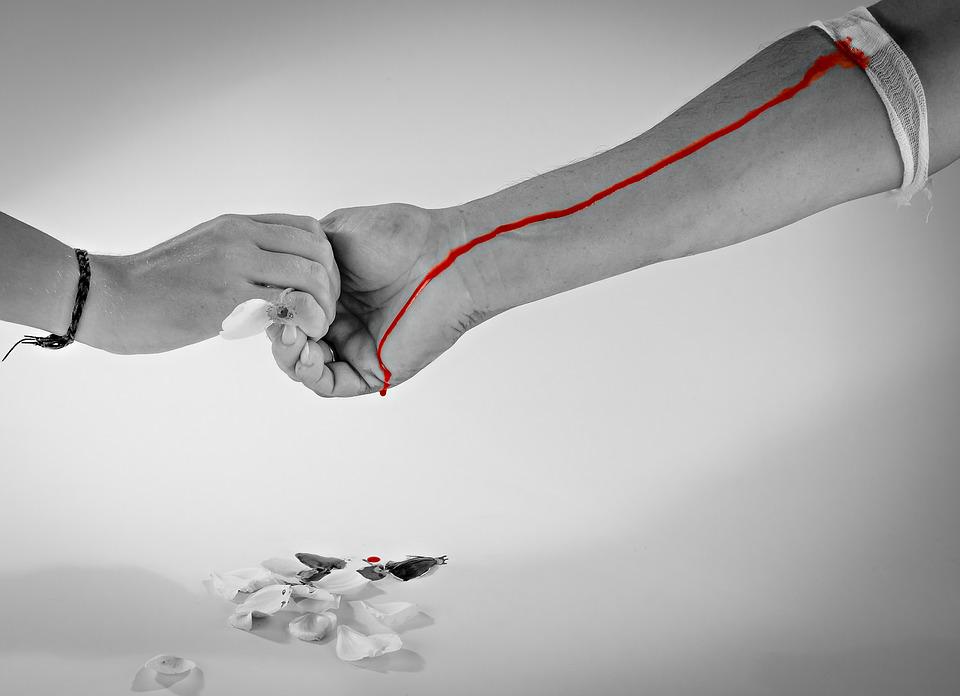 SANBS thanks you for giving someone the gift of another tomorrow ...