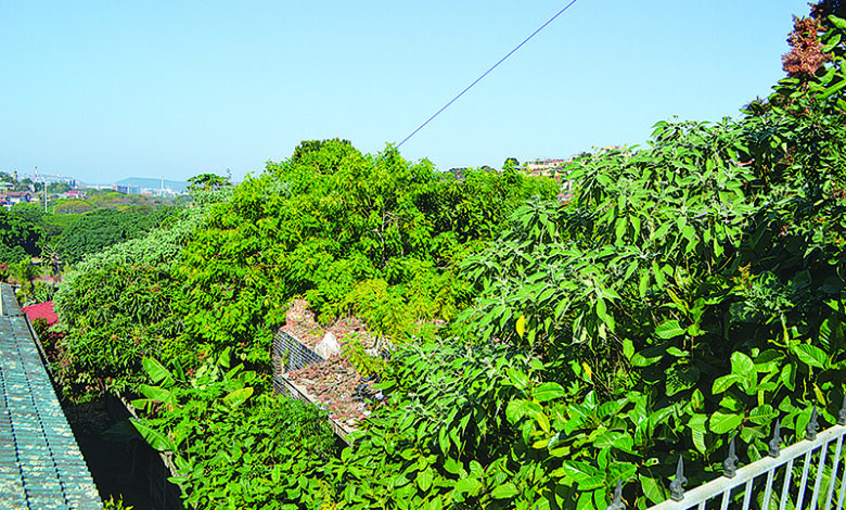 Abandoned Mobeni Heights home turns into crime hotspot | Rising Sun ...