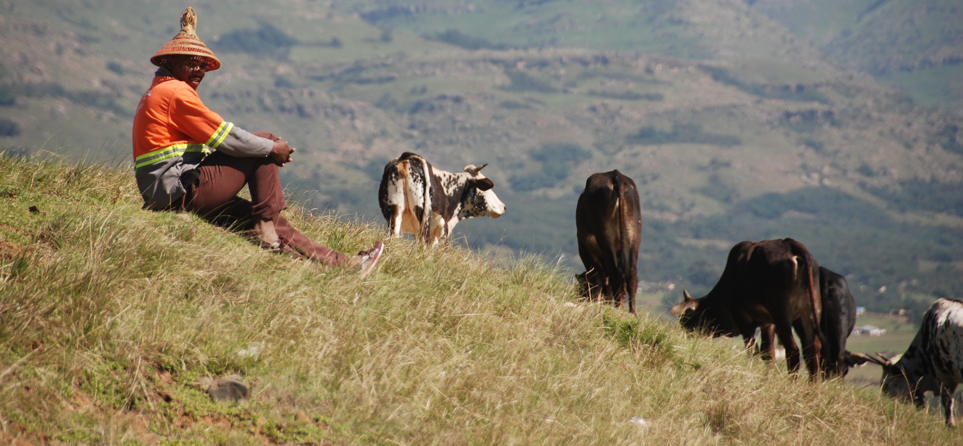 Sister of the soil: Two decades of creating sustainable self-employment ...