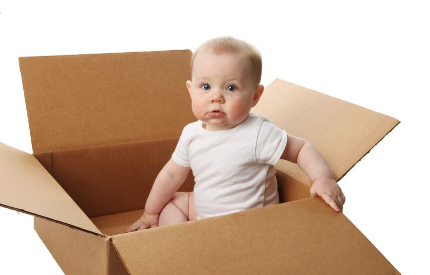 Why do babies love playing with cardboard boxes? | Rising Sun Newspapers
