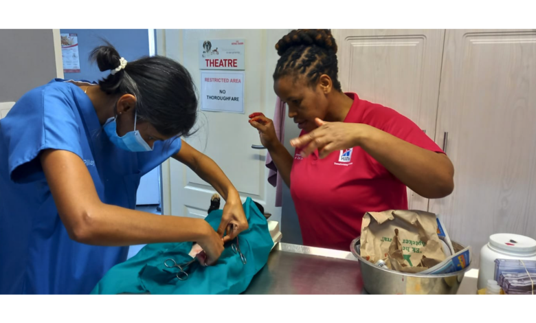 Furry patients treated with love and care at sterilisation clinic | Rising Sun Newspapers