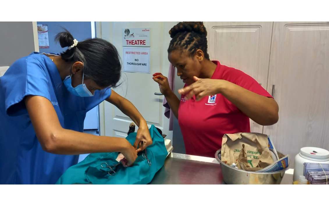 Furry patients treated with love and care at sterilisation clinic ...