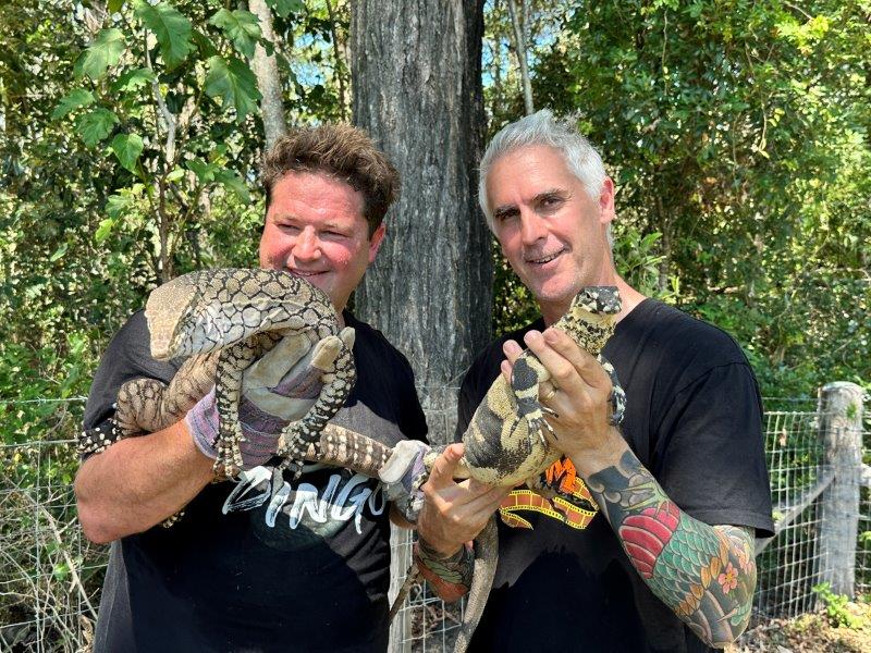 WATCH: Dingo heads Down Under for a daring wildlife adventure! | Rising ...