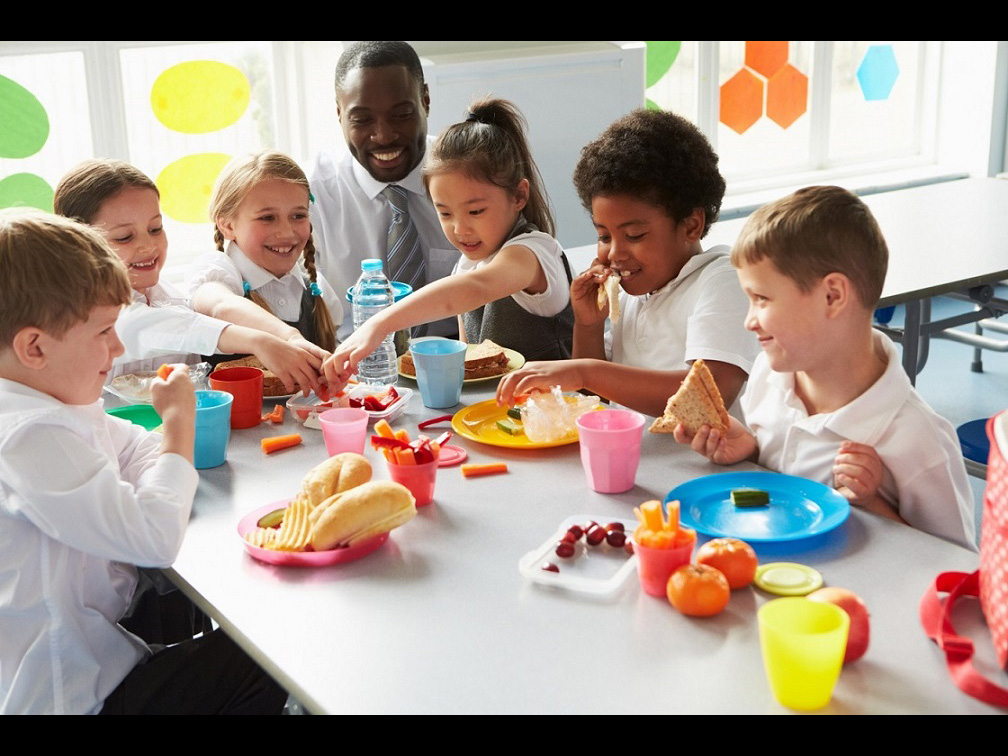 Dietitian’s advice on changing nutritional requirements: What to feed ...