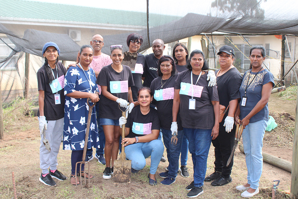 Cheshire greenhouse renewed by magical WAND | Rising Sun Newspapers