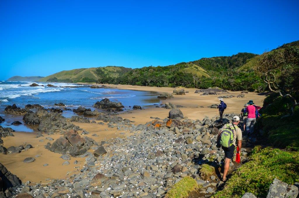 Thirteen reasons why you should be celebrating MPA Day in 2023 | Rising ...