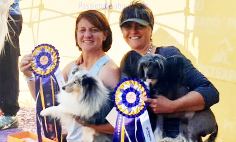 Bobbit scoops third place at PetExpo Agility Invitational | Rising Sun ...