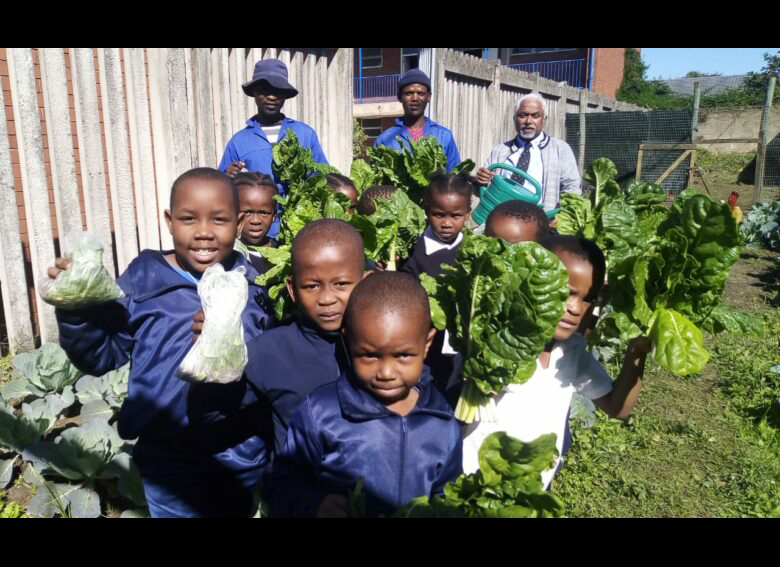 Alipore Primary School harvests spinach and coriander | Rising Sun ...