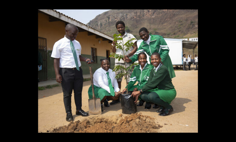 Green Corridors’ Amatata Adventures plant trees at school for National ...