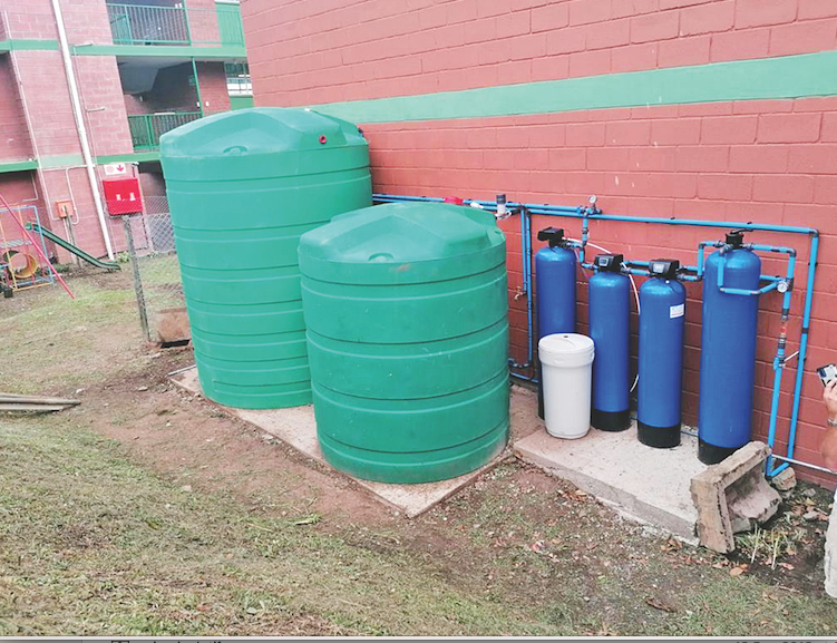 Going green at Sunford Primary School | Rising Sun Newspapers