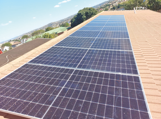 Going green at Sunford Primary School | Rising Sun Newspapers