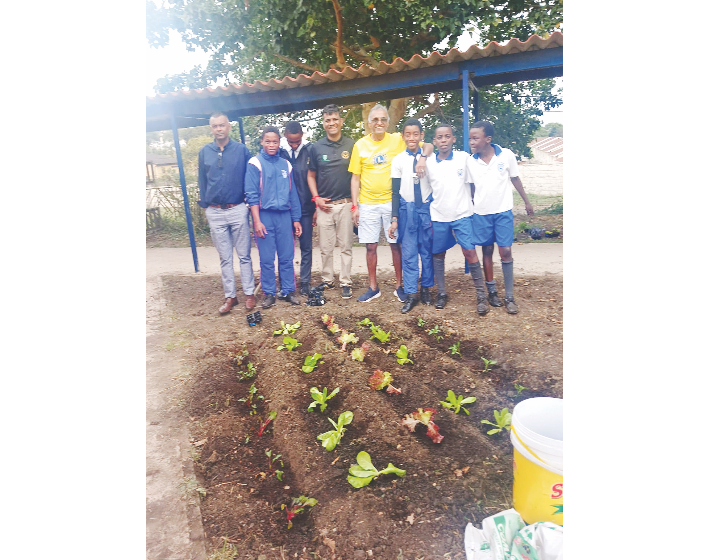 School food garden to keep pupils nourished and healthy | Rising Sun ...