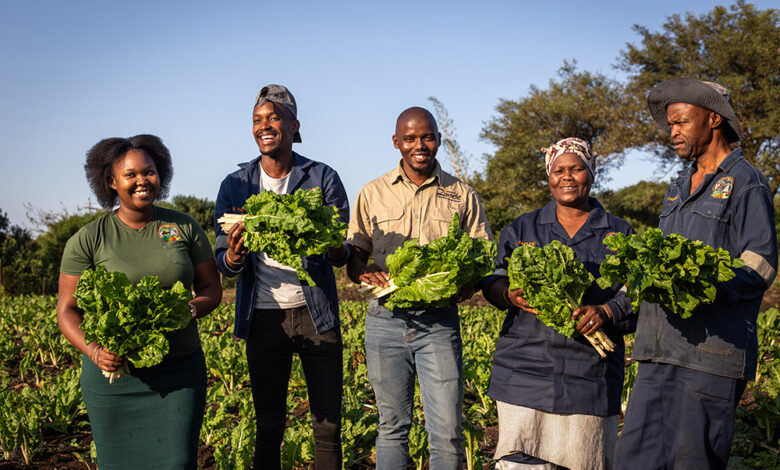 Agricultural programme sparks a bountiful harvest for emerging farmers | Rising Sun Newspapers