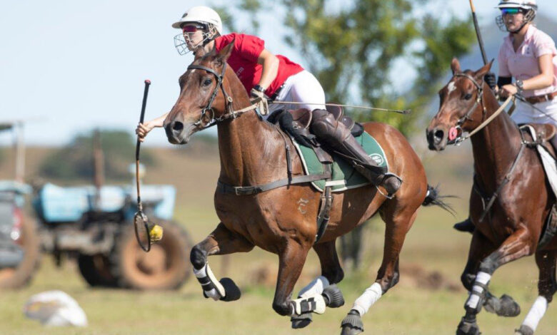 The world’s best head to KZN as SA hosts the 2024 Ignition Group ...