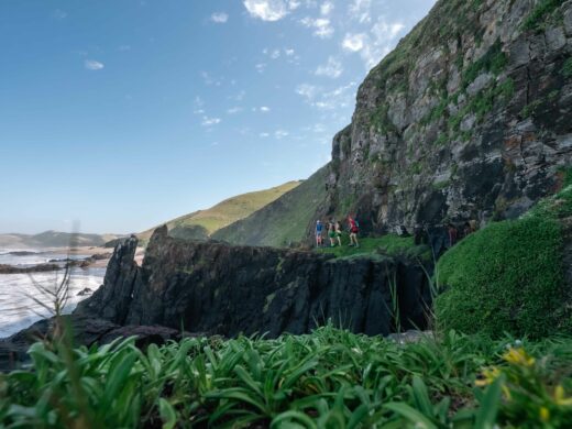 Wild Child Africa announces Wild Coast Sun as official partner for 2024 ...