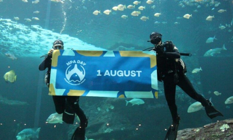 MPA Day makes it to the top 10 of the OceanLove Innovation Award 2024 ...