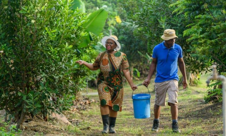 Top 10 must-visit rural attractions on the KZN South Coast | Rising Sun ...