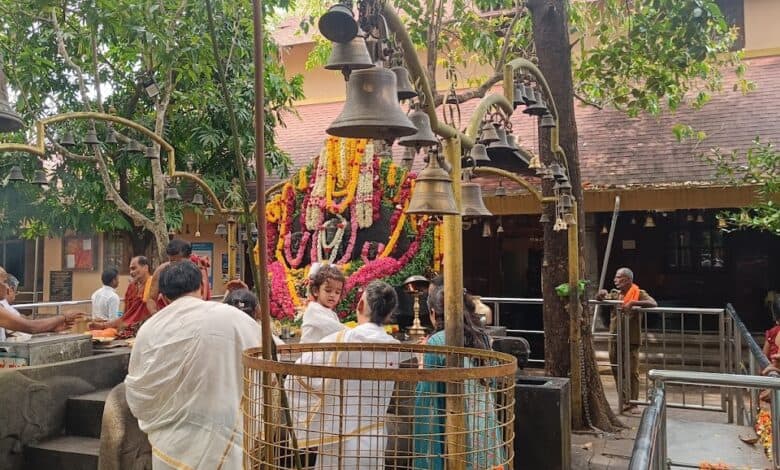 Peacock theft shakes local temple ahead of sacred festival | Rising Sun ...