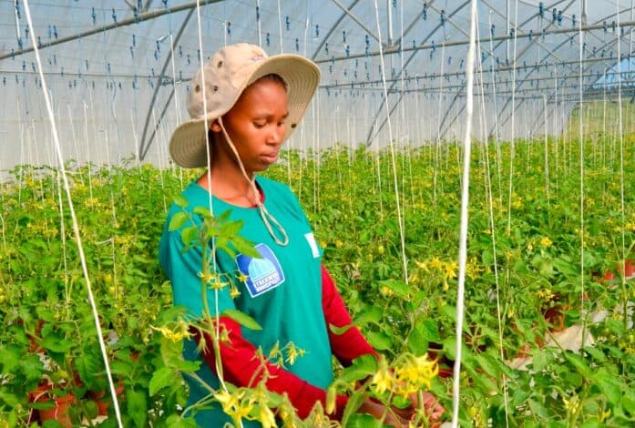 Multi-million rand boost to drive farming transformation | Rising Sun ...