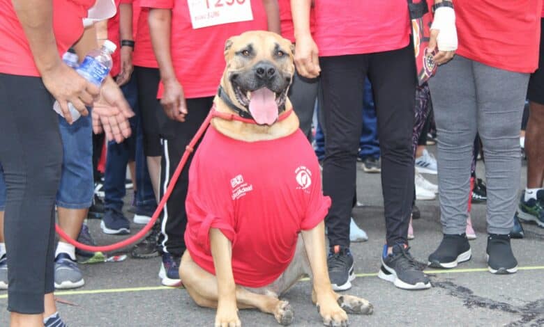 Eye Can Walk 2025 returns to Durban - bigger, bolder, and more ...