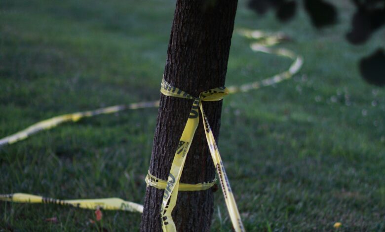 Montford dad commits suicide after killing wife and stabbing children ...