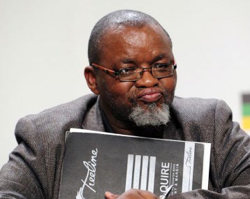 Hilarious reactions to ‘tiger’ Gwede Mantashe’s alleged sex scandal ...