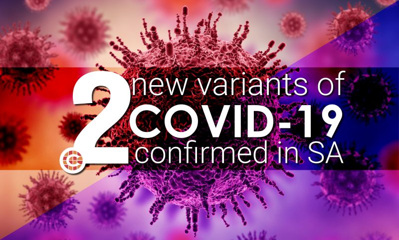 Covid-19 variant first detected in India one of two new variants ...