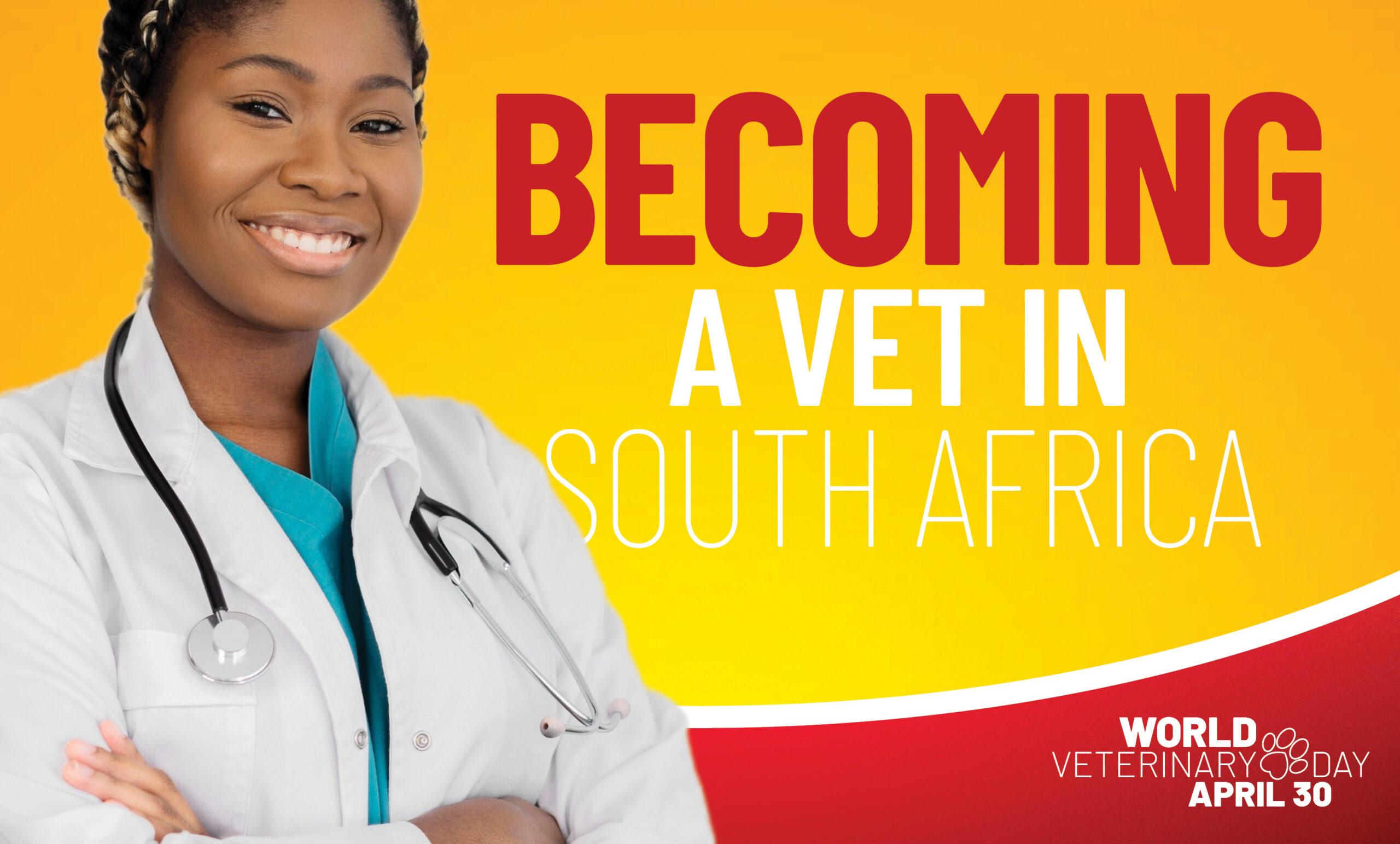 How to become a vet in SA - LNN - Lowvelder