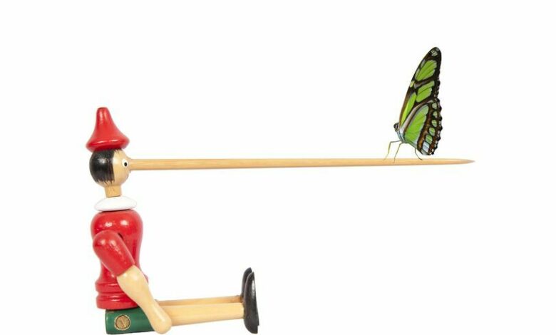 Why do kids lie and what can parents do about it | Network News