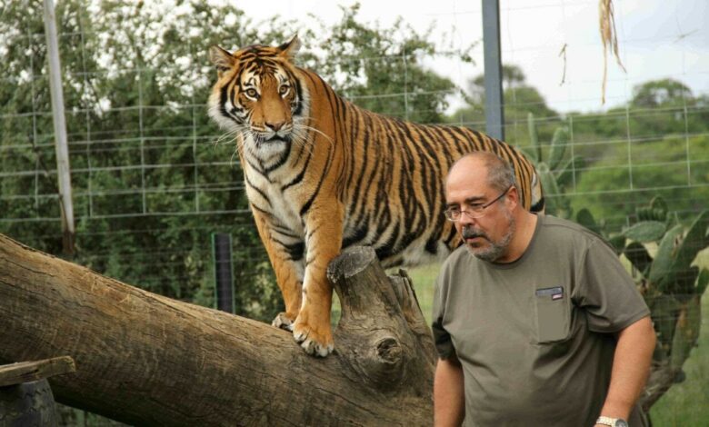 Tiereienaar trek glo self sneller om Sheba van kant te maak - LNN ...