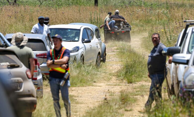 Escaped tiger spotted in Walkerville - LNN - Roodepoort Record