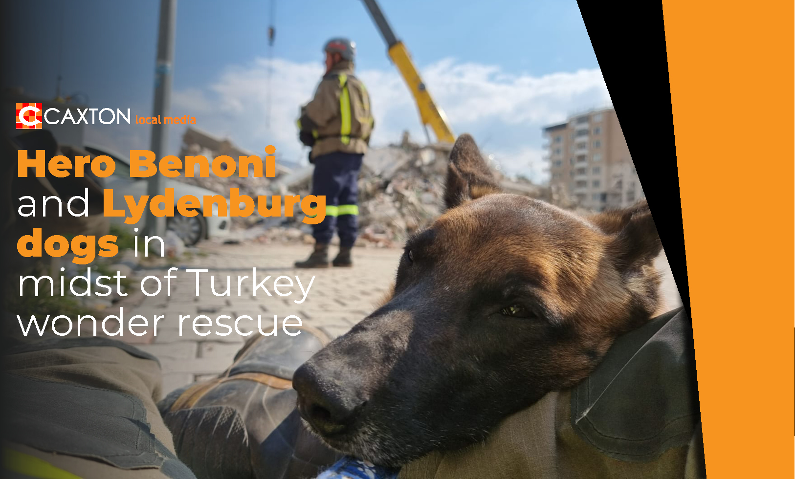 Trapped for 8 days, Turkey quake survivor owes her life to SA K9 dogs ...