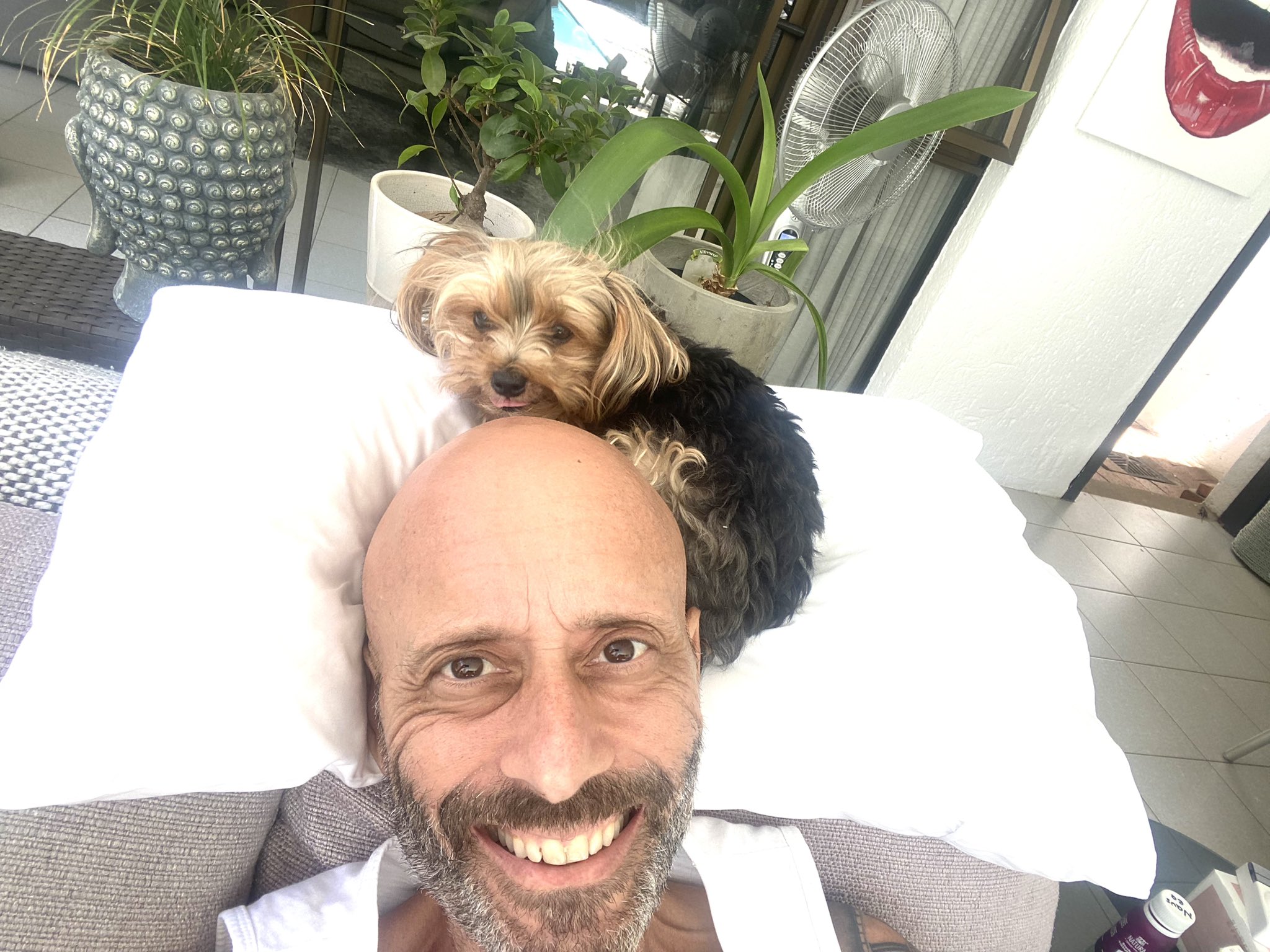 Verify your facts before you share: How SA ‘killed’ Mark Pilgrim - LNN ...